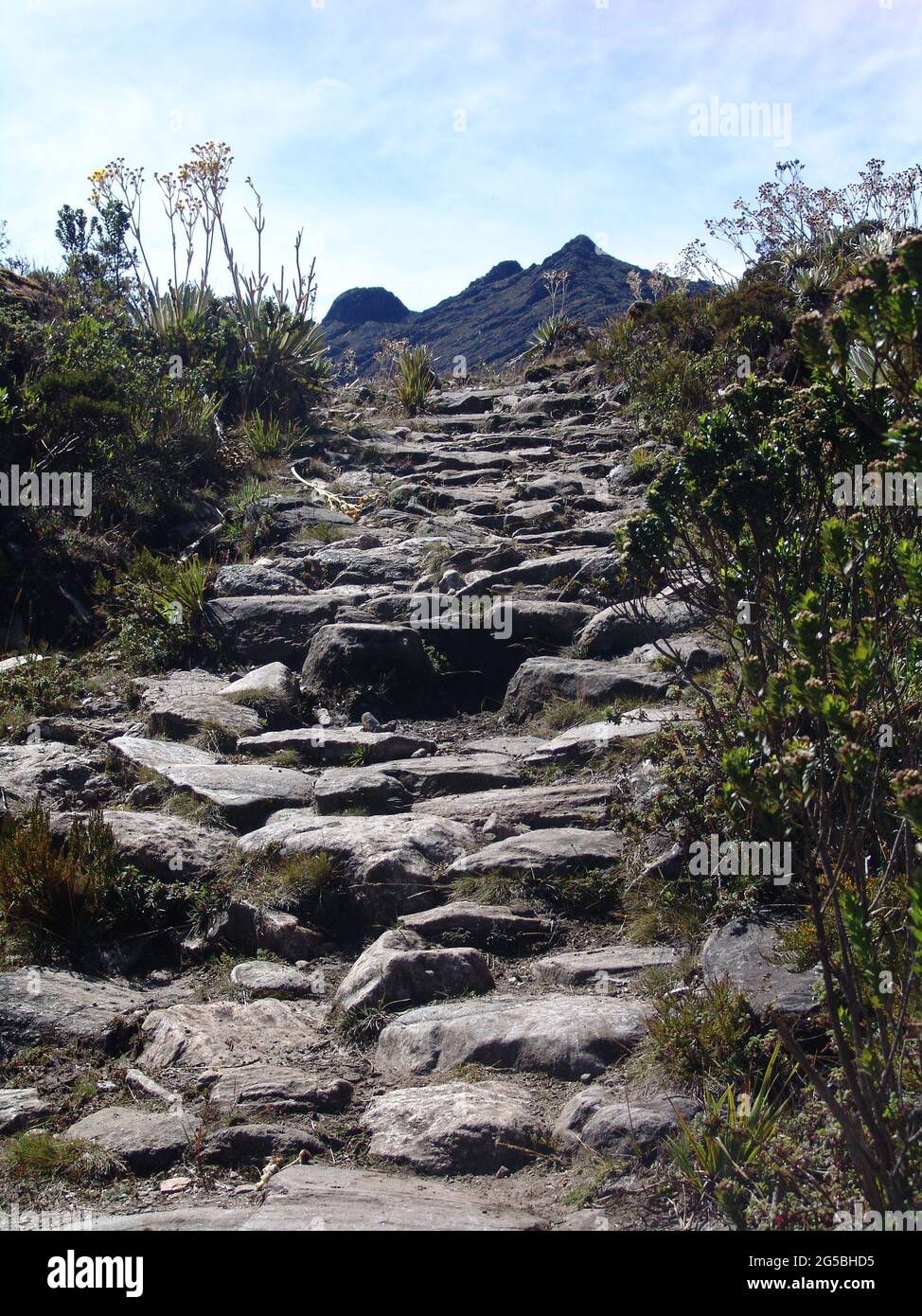 Vertical shot of stone stairs on the climbing path of Mount Roraima in ...