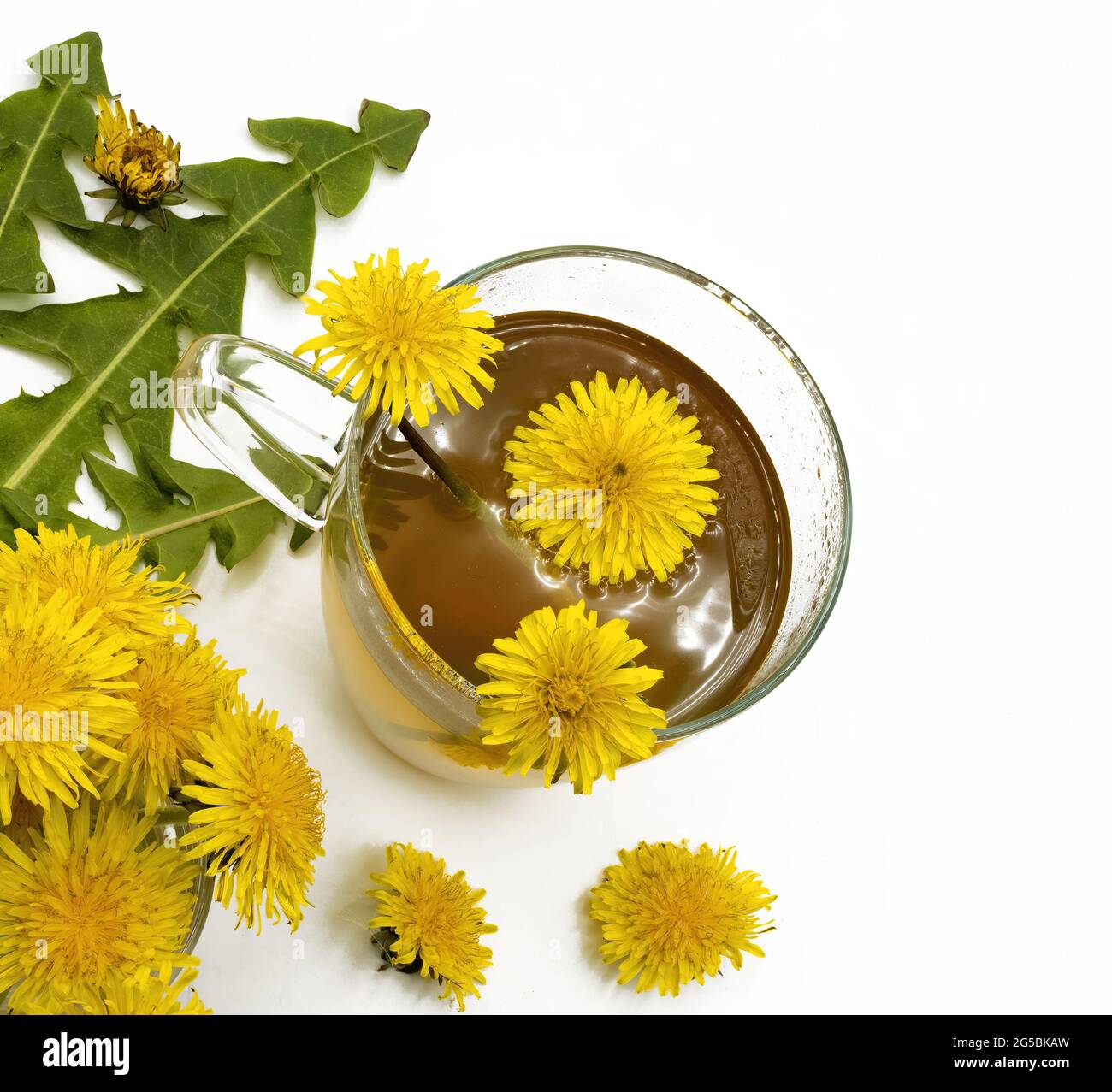 Healthy infusion of dandelion plant, Taraxacum officinale, to purify ...