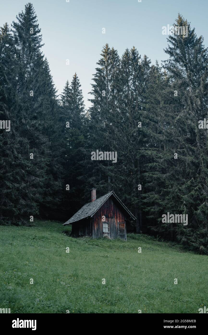 Small wooden hut surrounded by the majestic trees Stock Photo - Alamy