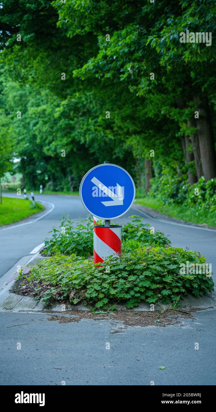 Asphalt road surrounded by dense vegetation with traffic signs Stock ...