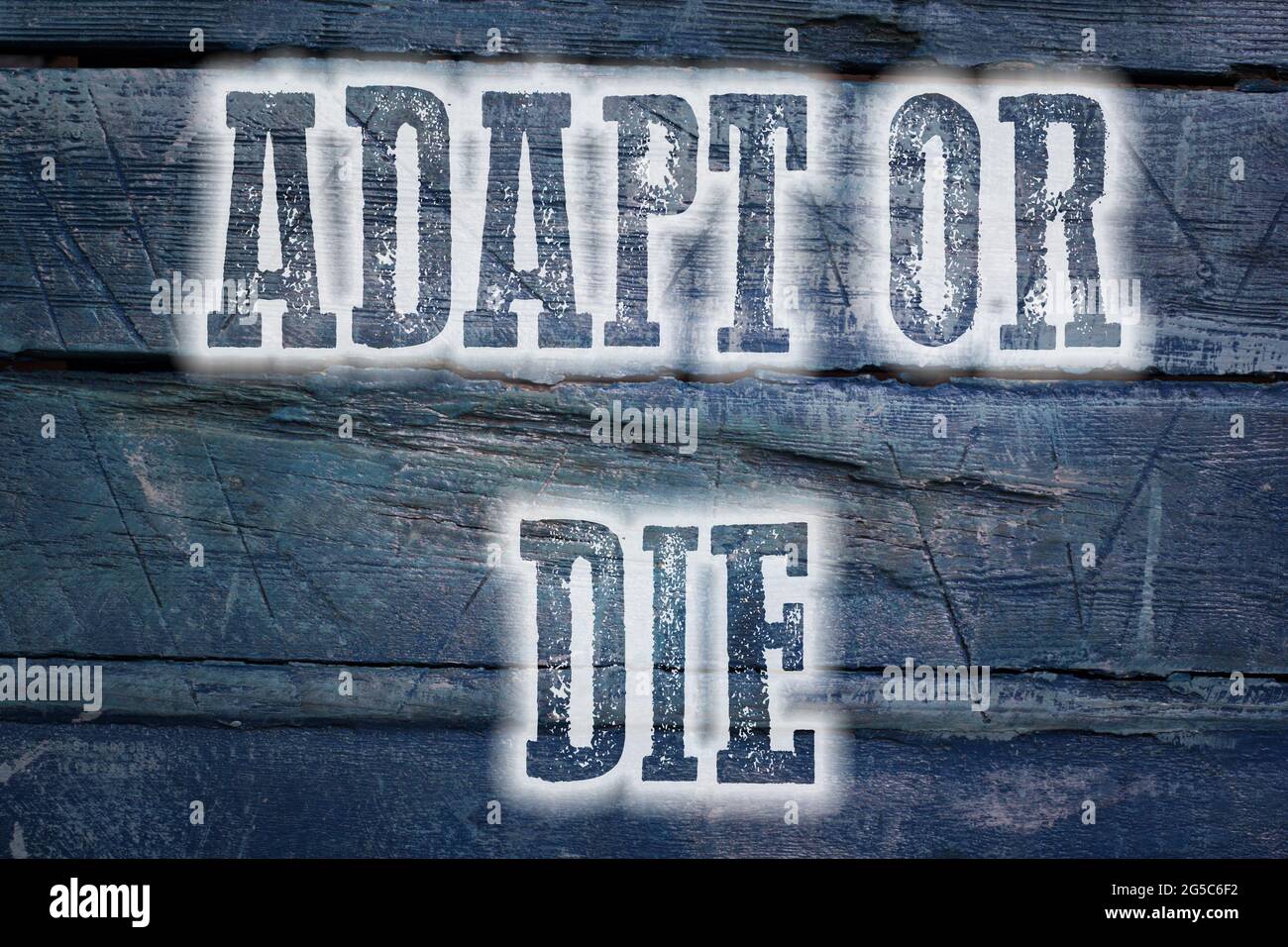 Innovative adaptation hi-res stock photography and images - Alamy