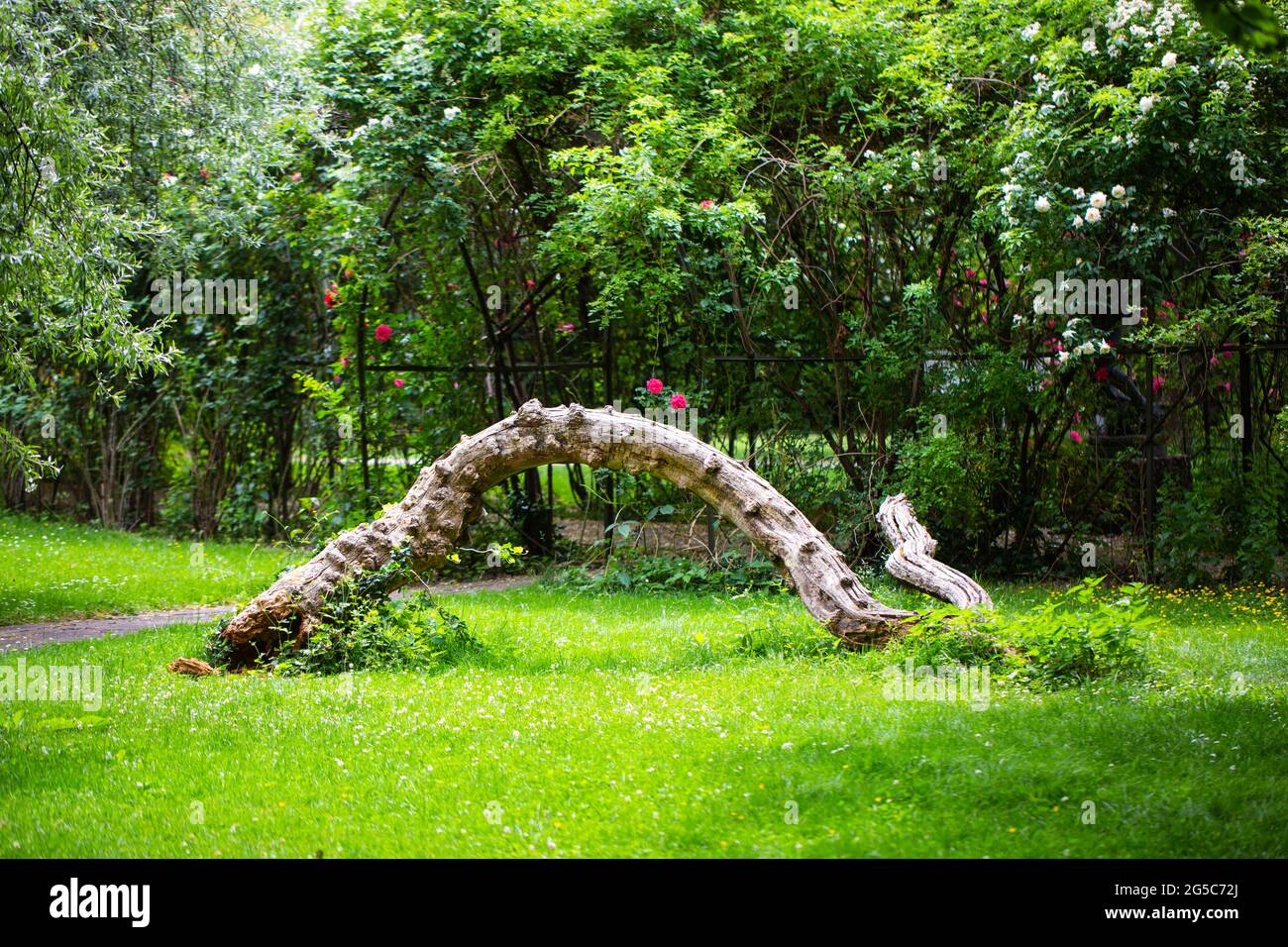 The Borstei is a listed housing estate in the Munich district of ...