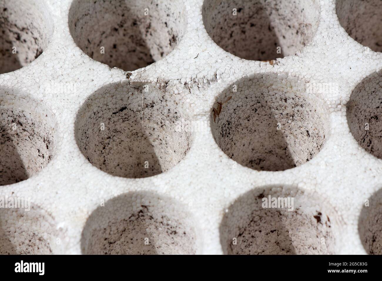 Polystyrene seedling tray hi-res stock photography and images - Alamy
