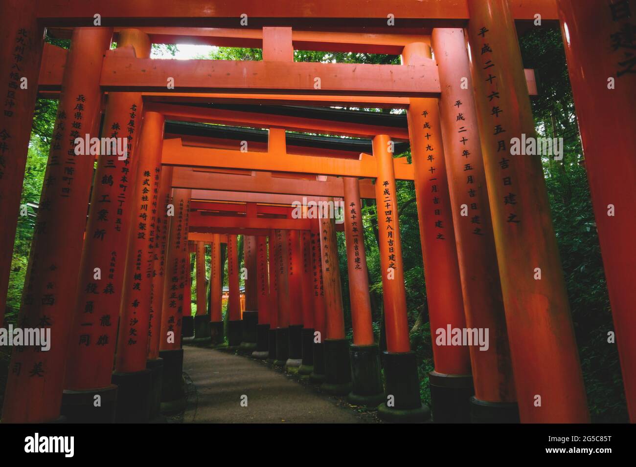 Path through tunnel of orange torii gates at Fishimi Inari Taisha ...