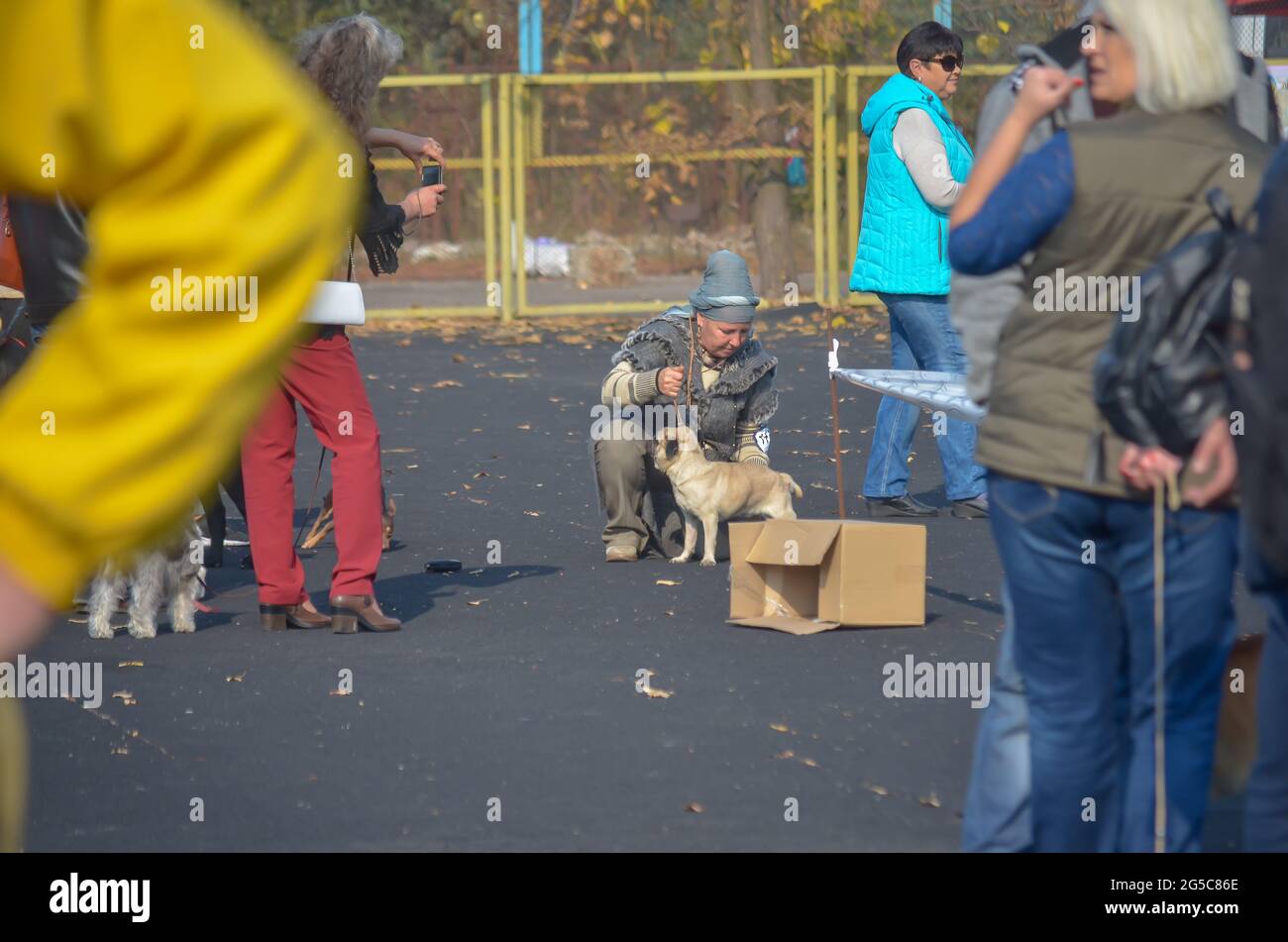 Woman poses dog next hi-res stock photography and images - Alamy
