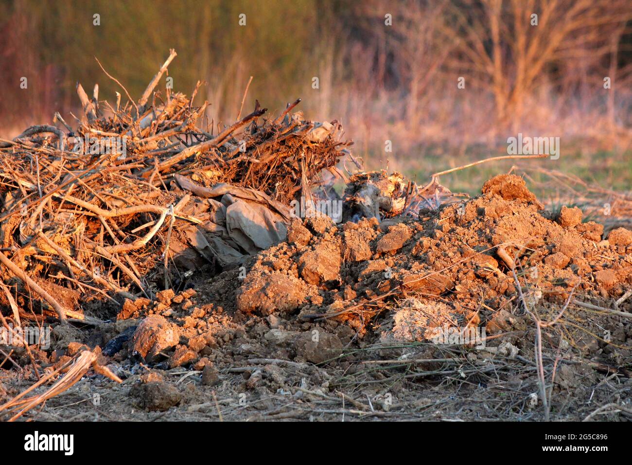 Pile of tree branches and tree roots mixed with tree stumps and dry ...