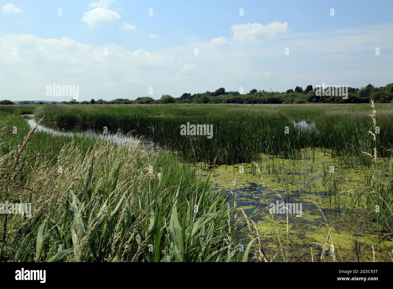 Wickhambreaux valley hi-res stock photography and images - Alamy