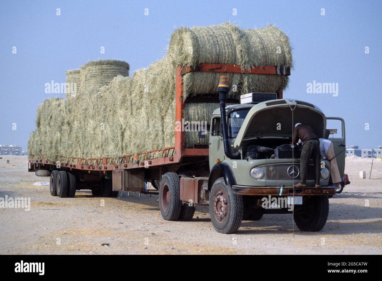 In Doha city, state of Qatar, a truck arriving from Saudi Arabia with a ...