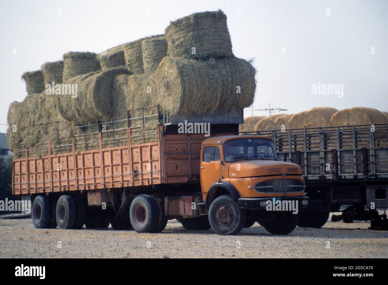 In Doha city, state of Qatar, a truck arriving from Saudi Arabia with a ...