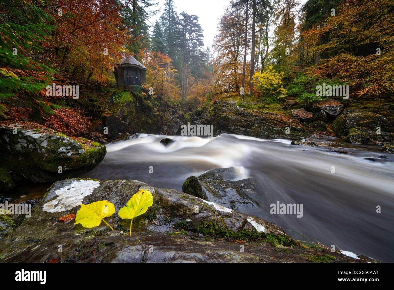 Autumn view of Ossian’s Hall overlooking cascade of Black Linn Falls on ...