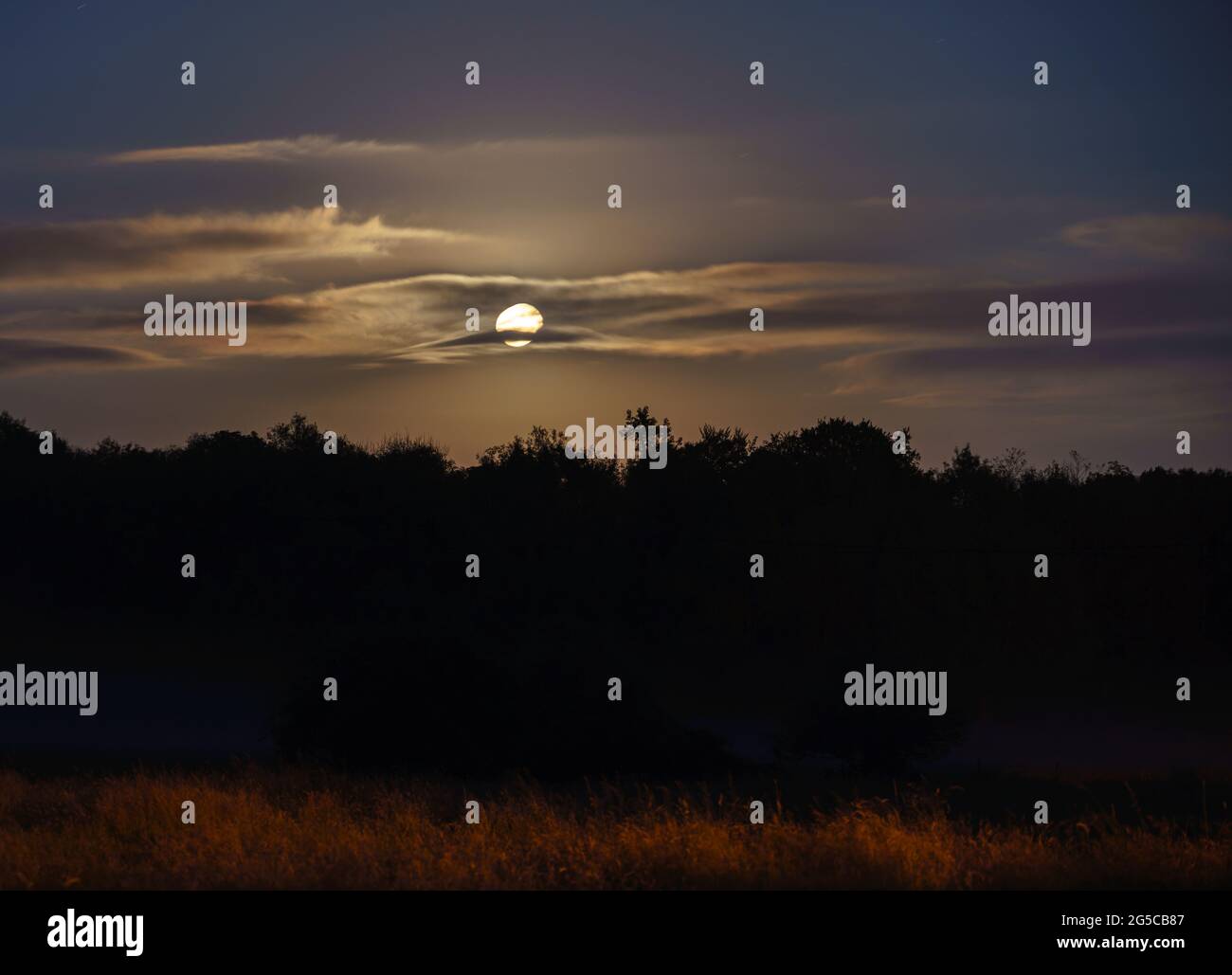 Night forest treeline hi-res stock photography and images - Alamy