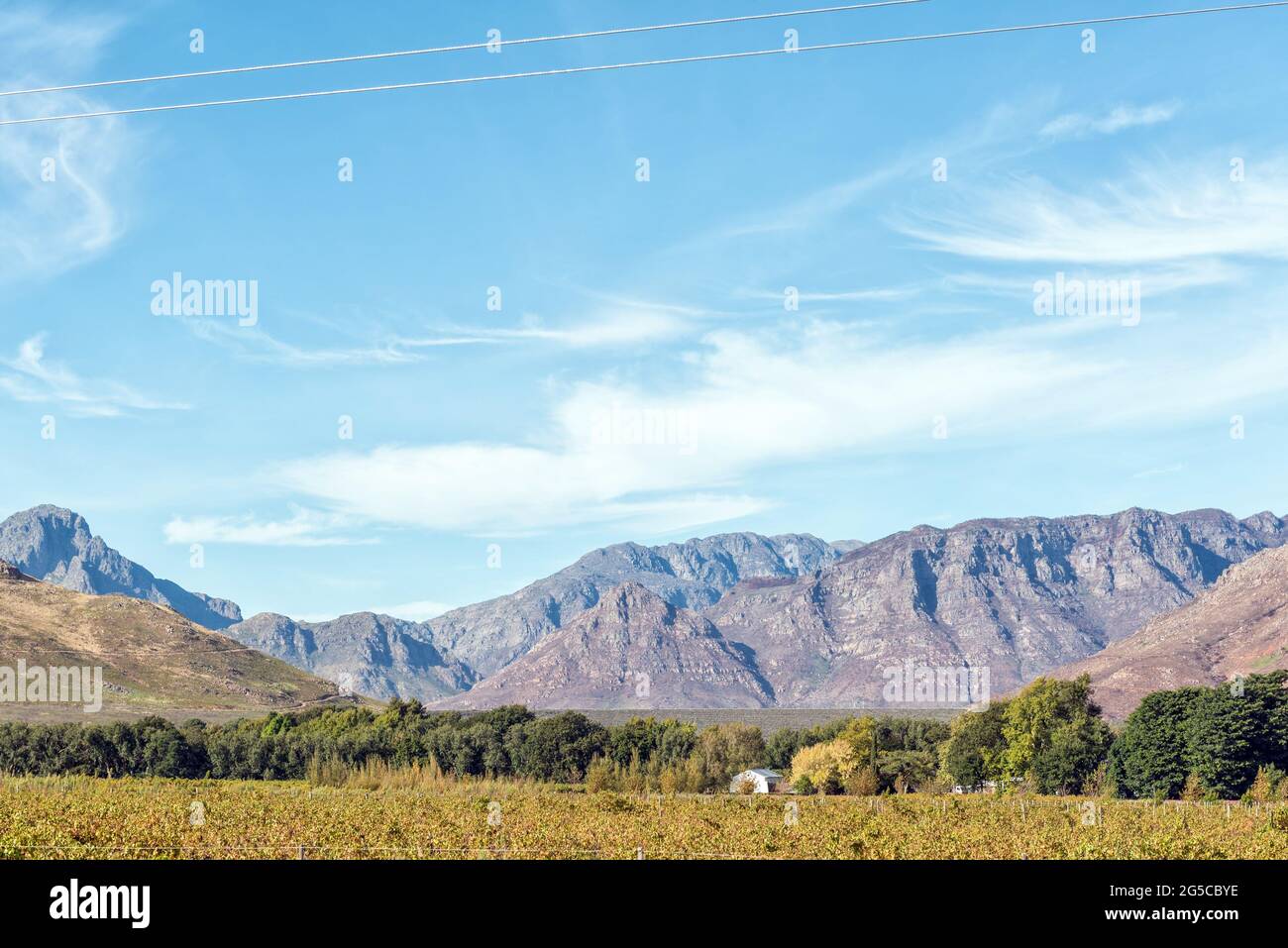 The Berg River Dam wall is visible above the trees near Franschhoek in ...
