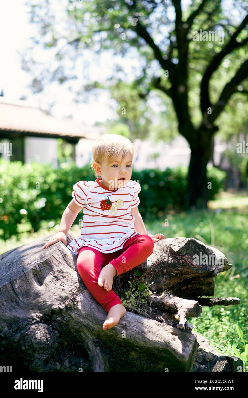 Little barefoot kid sits on a tree stump in a green park Stock Photo ...