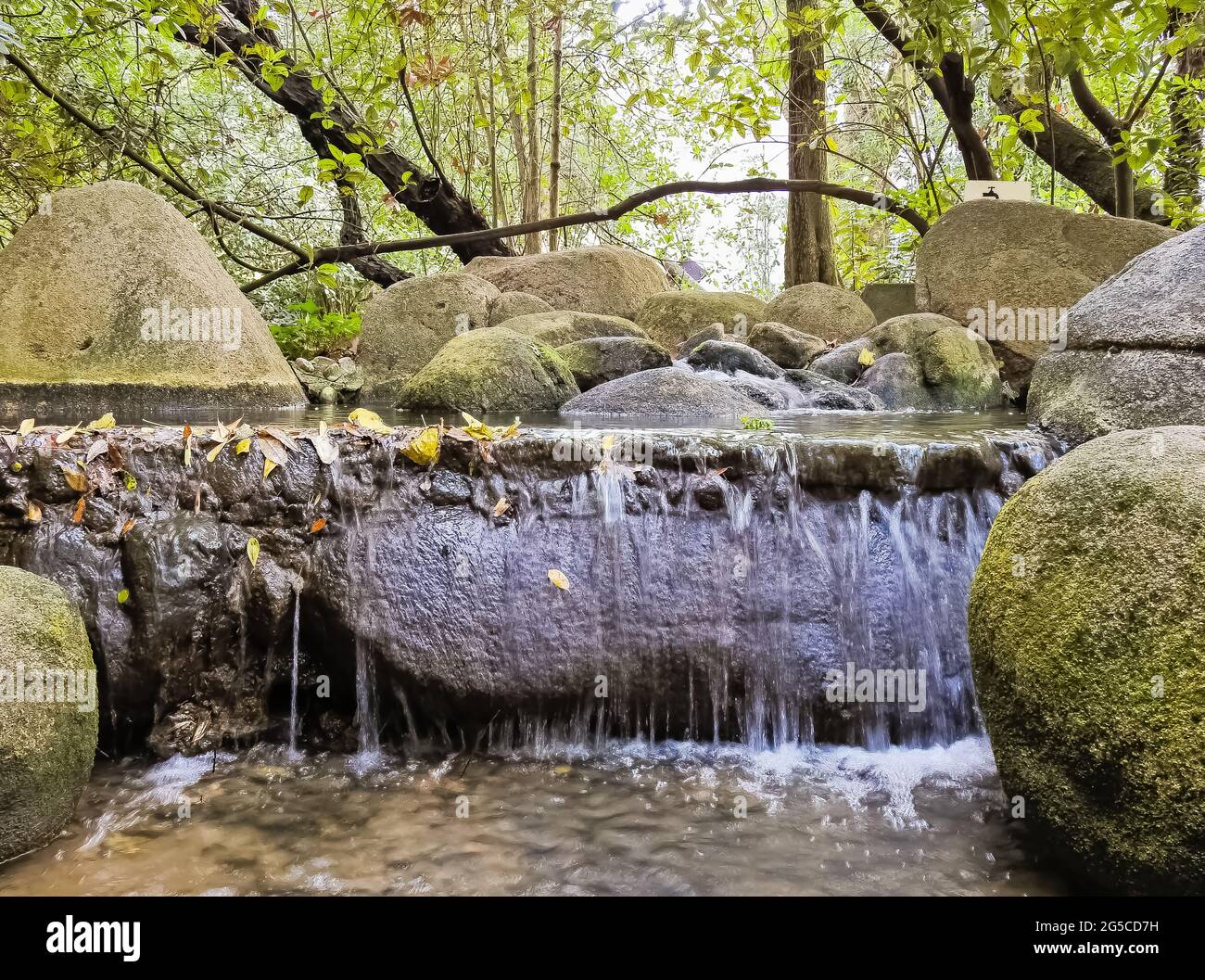 Relaxing scenery flowing water in a small creek in a forest Stock Photo ...