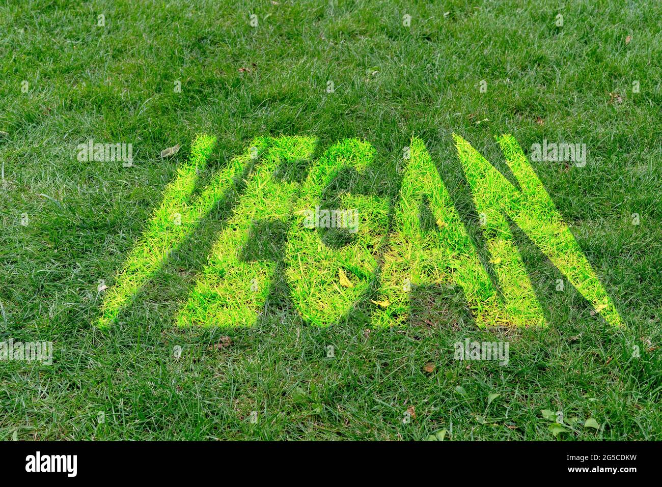 vegan word text drawn on grass, eco healthy products concept Stock ...