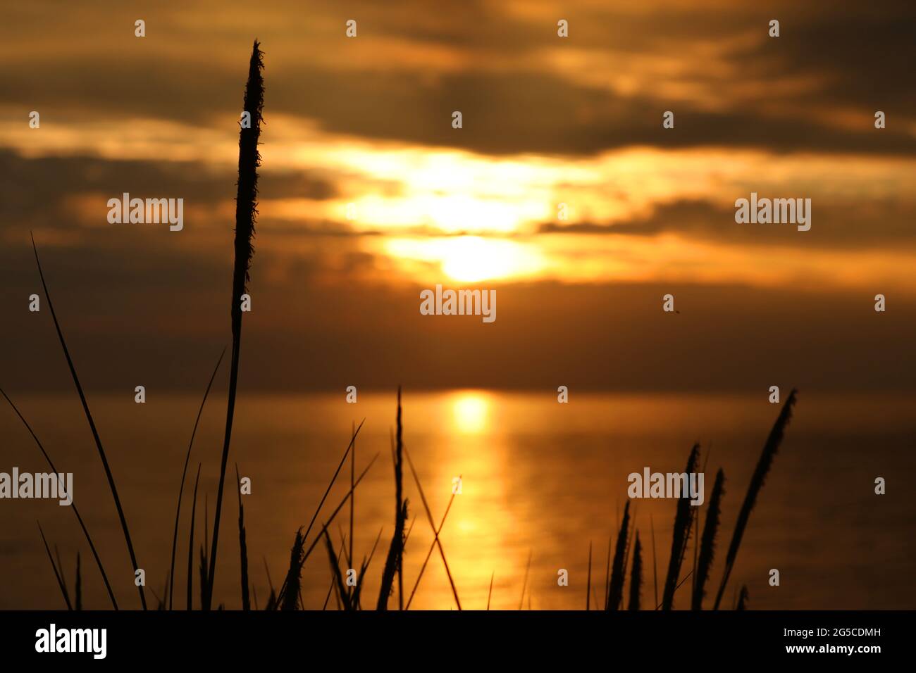 Heacham, UK. 24th June, 2021. Grasses silhouetted on a beautiful end to ...