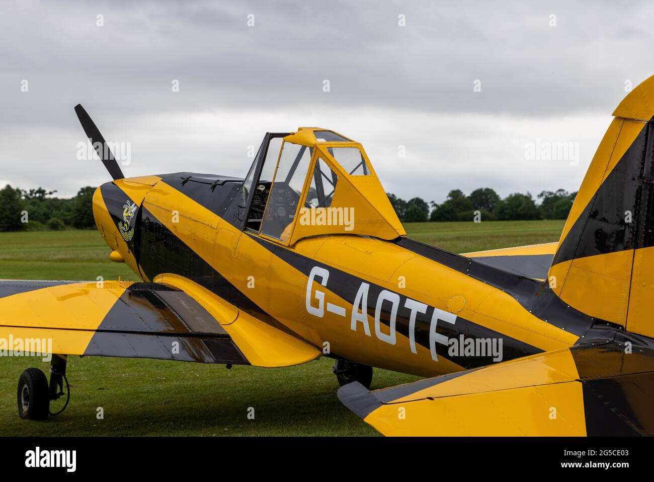 Chipmunk 1950s aircraft hi-res stock photography and images - Alamy