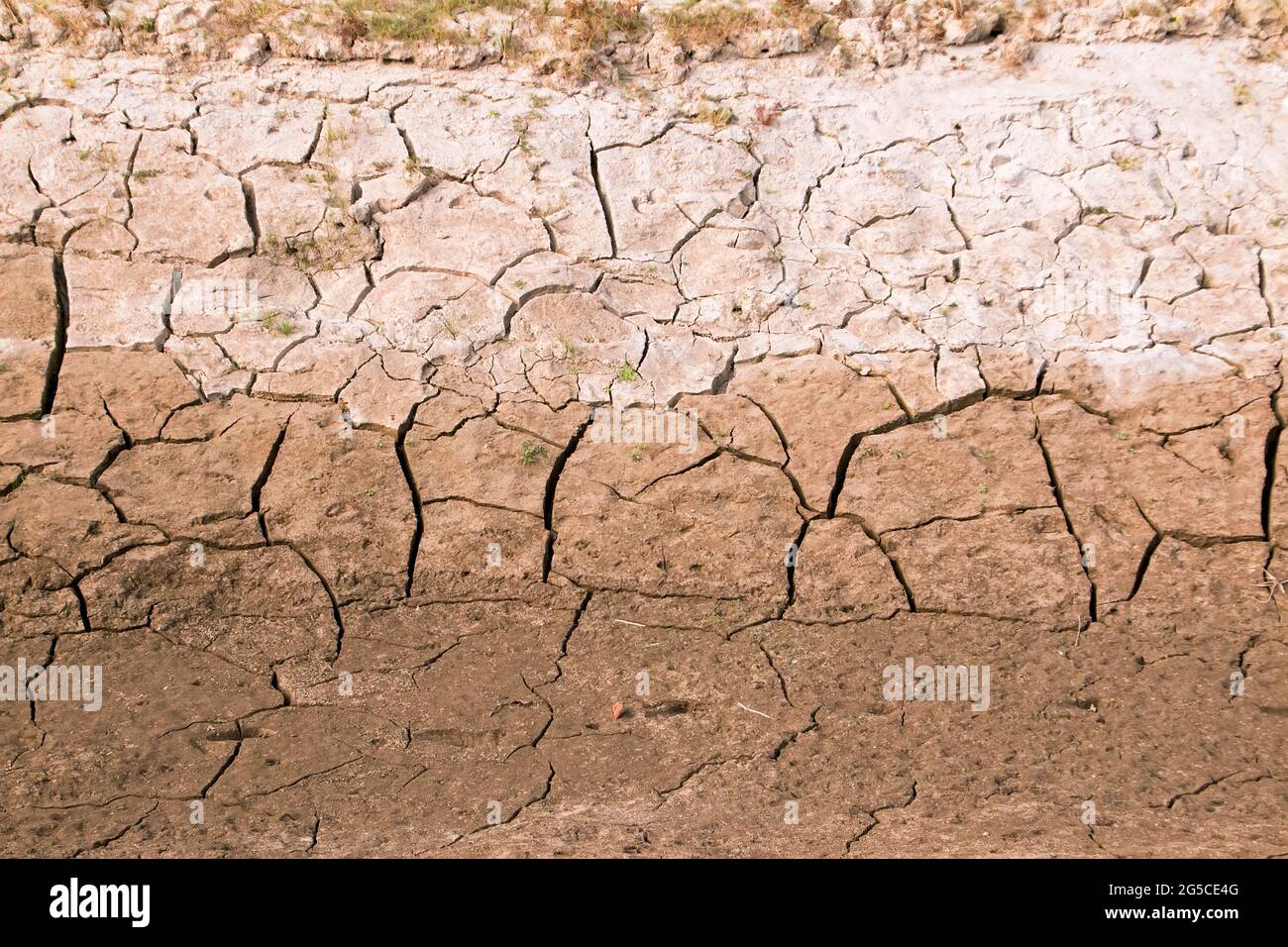 Soil is a soft, granular covering of the earth's surface Stock Photo ...