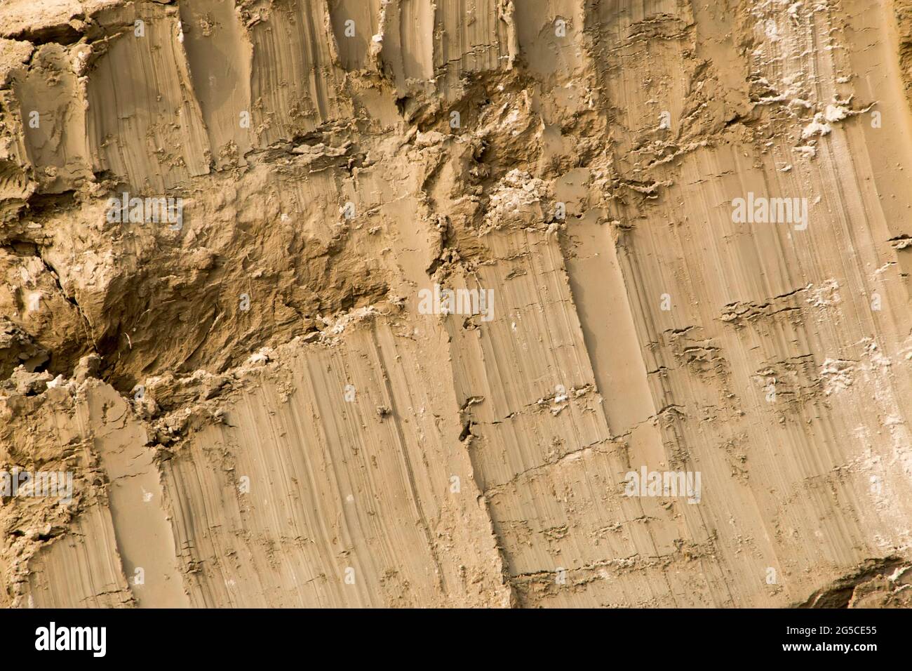 Soil is a soft, granular covering of the earth's surface Stock Photo ...