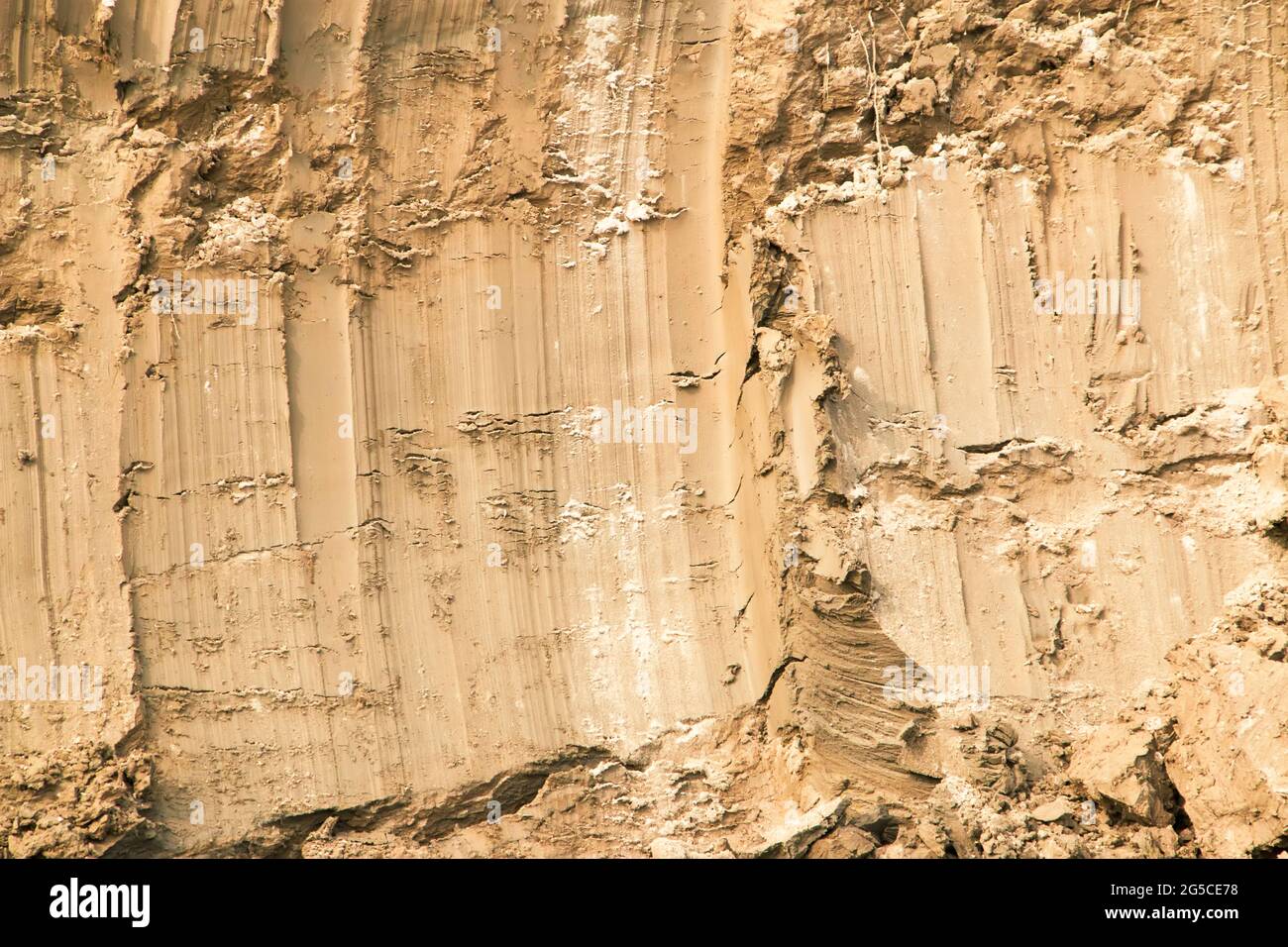 Soil is a soft, granular covering of the earth's surface Stock Photo ...