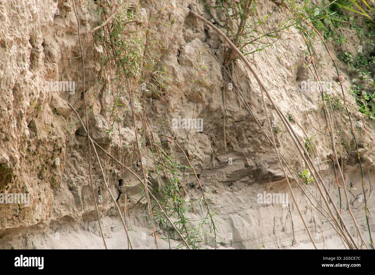 Soil is a soft, granular covering of the earth's surface Stock Photo ...