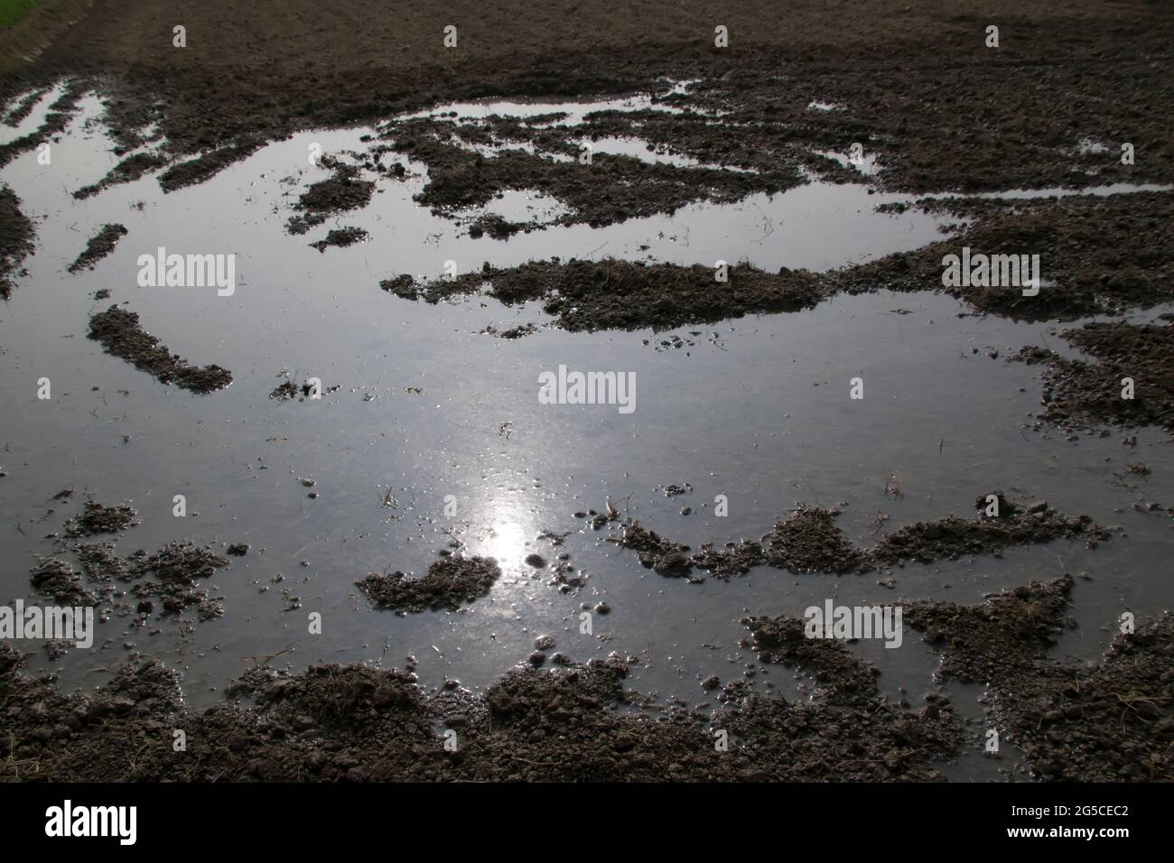 Soil is a soft, granular covering of the earth's surface Stock Photo ...