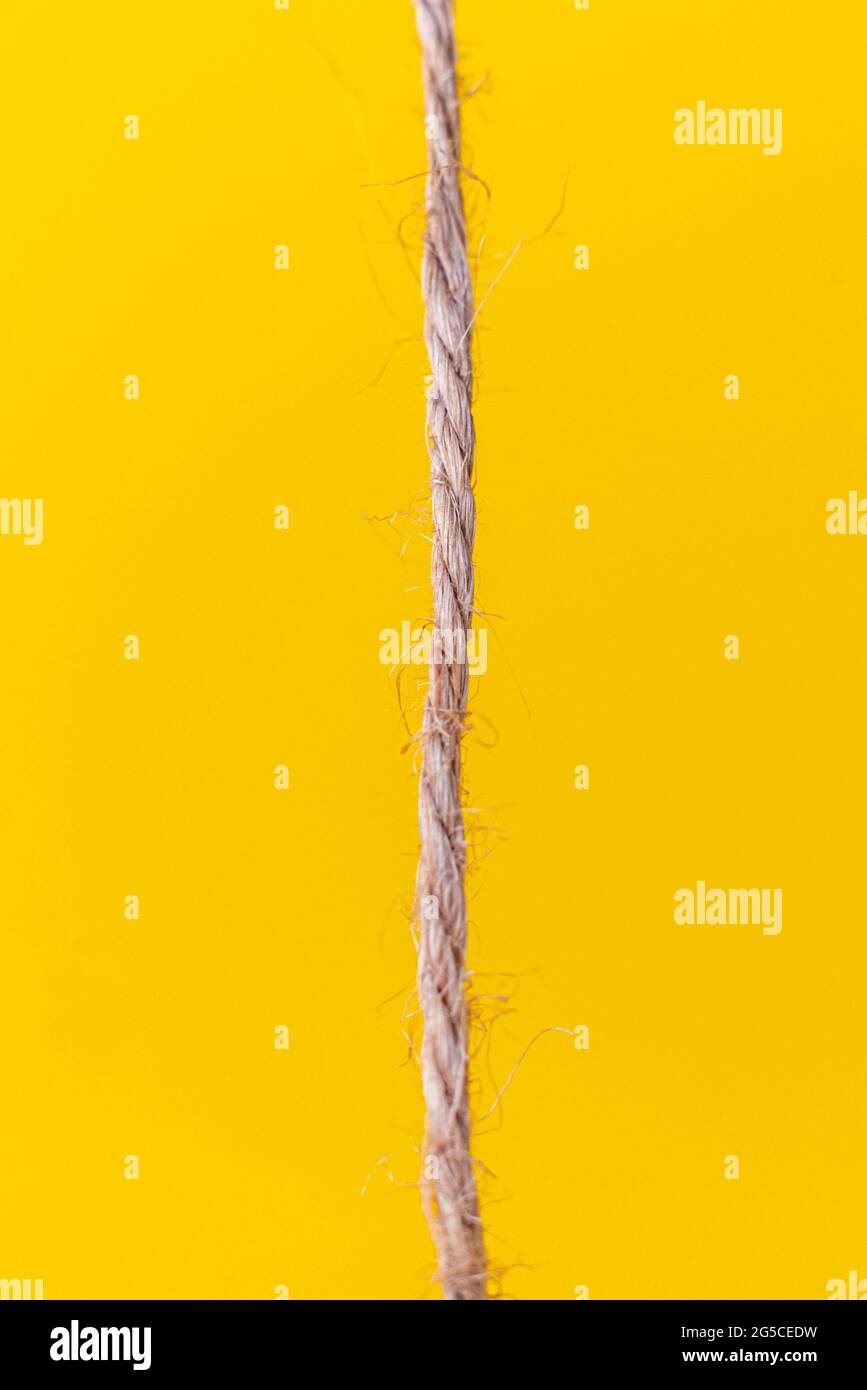 close up macro shot of a abstract simple thread isolated Stock Photo ...