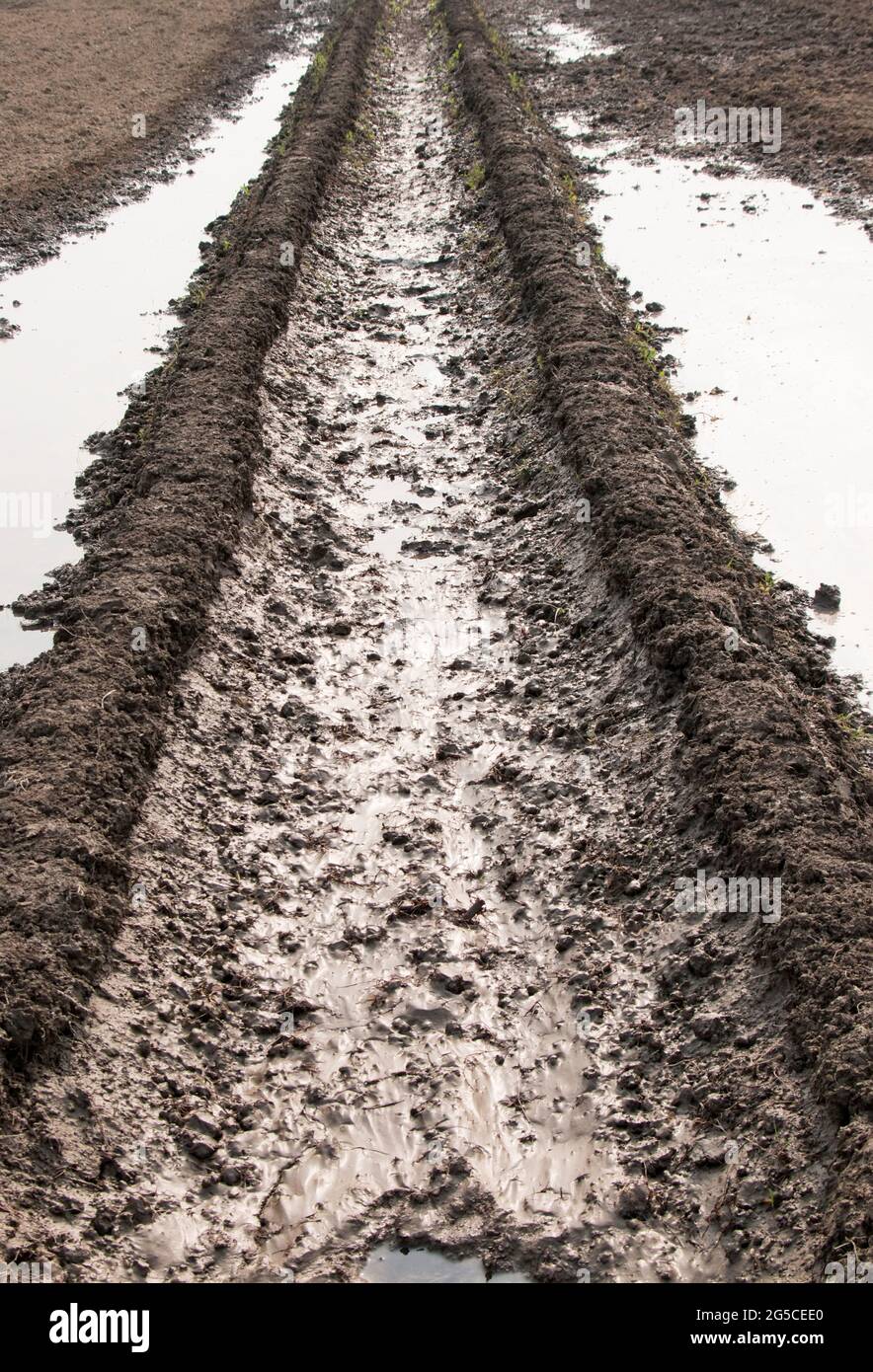 Soil is a soft, granular covering of the earth's surface Stock Photo ...