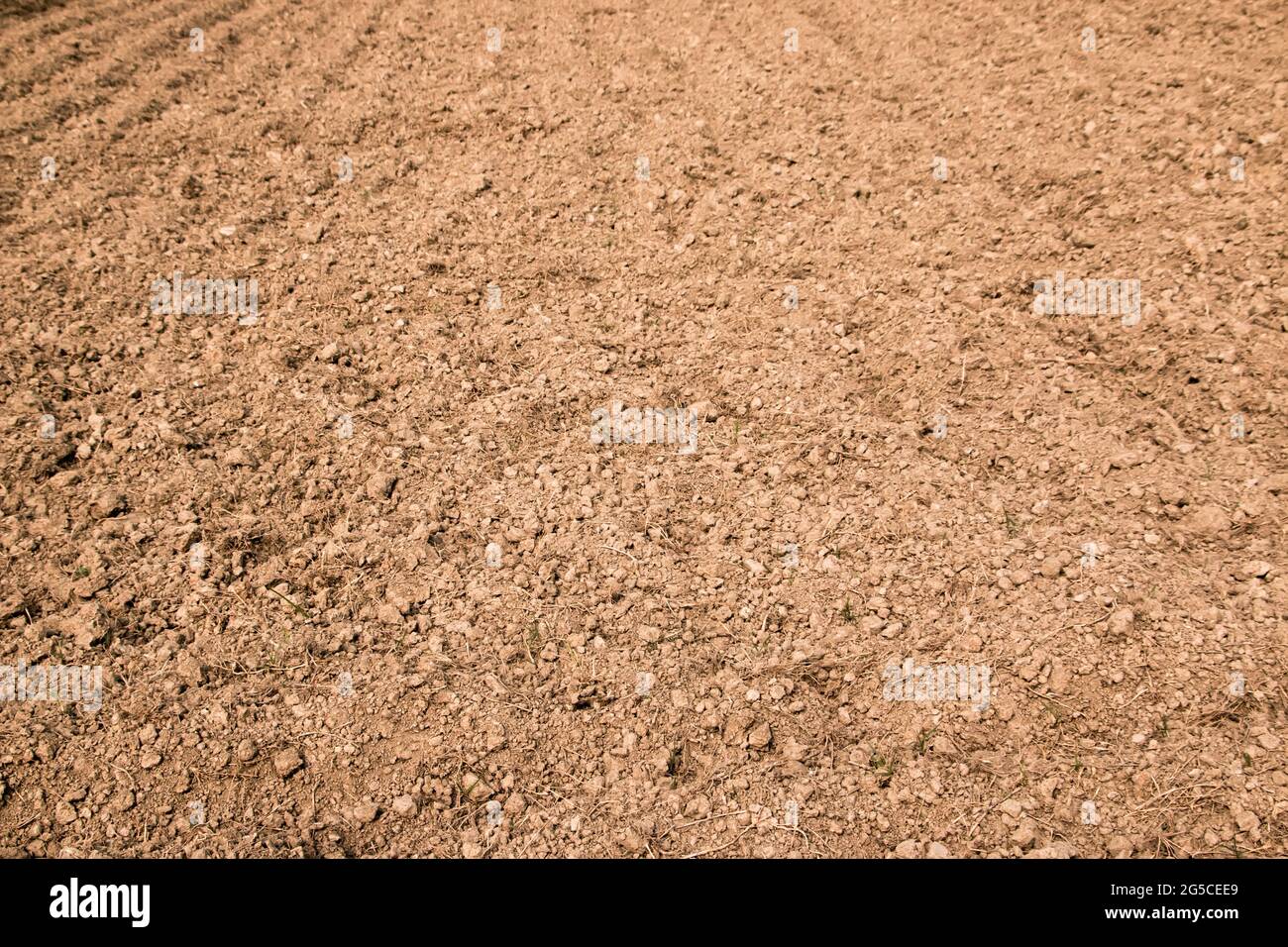 Soil is a soft, granular covering of the earth's surface Stock Photo ...