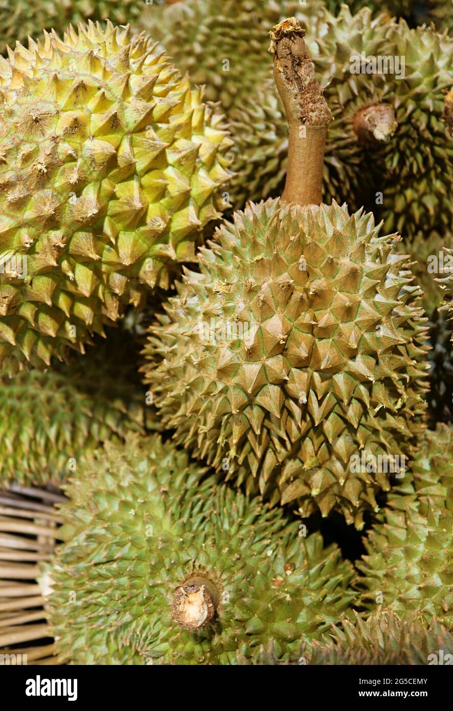 Durian texture hi-res stock photography and images - Alamy