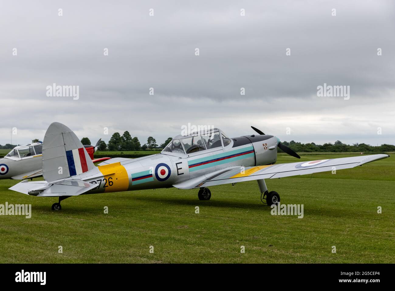 Chipmunk t10 hi-res stock photography and images - Alamy