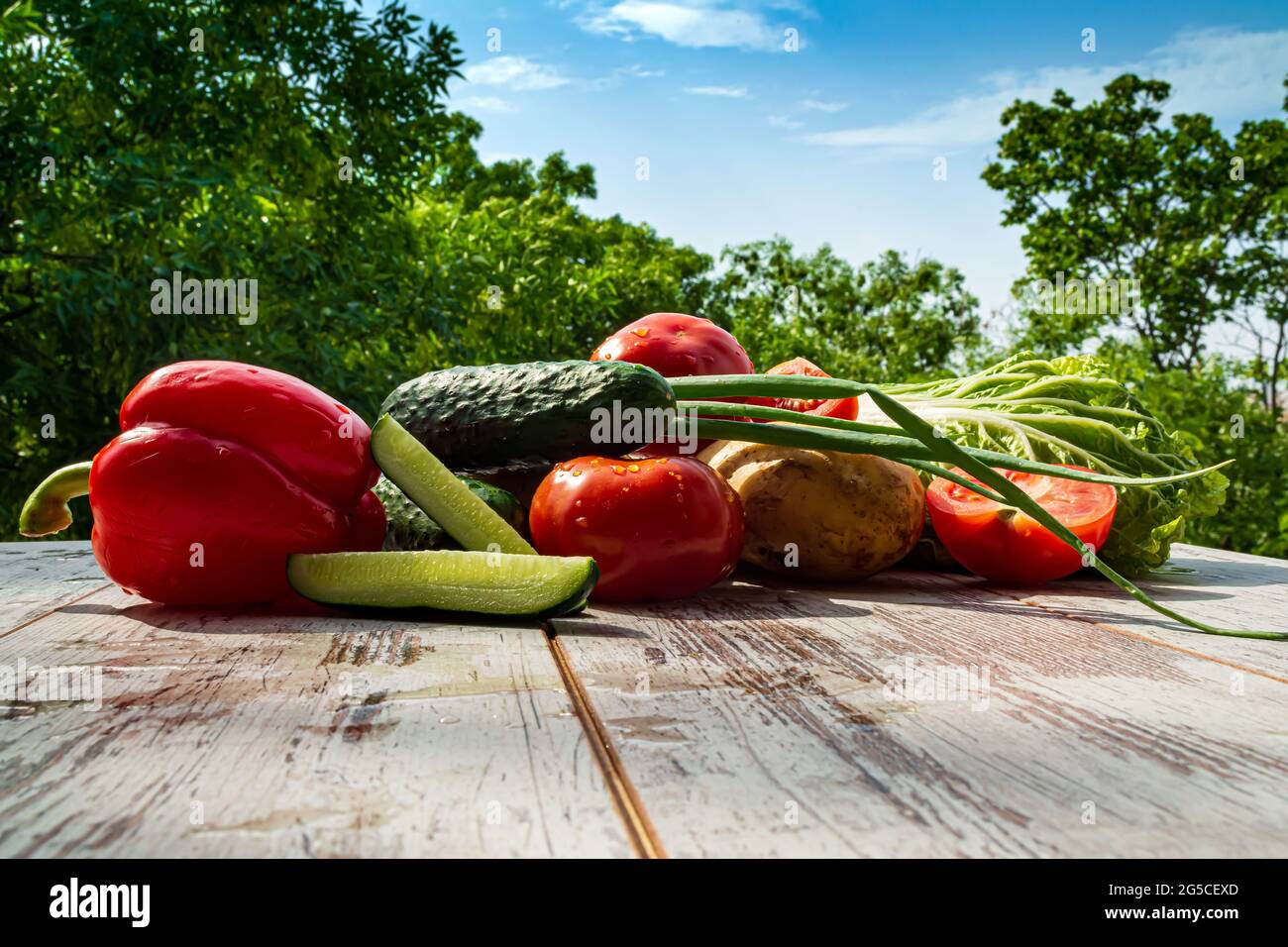 Different vegetables with water drops on a plate on a wooden table in ...