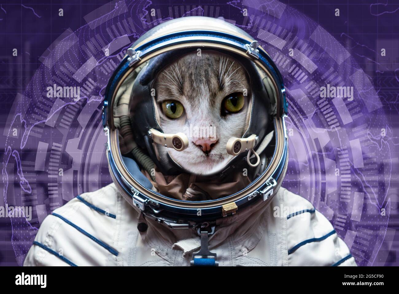 curious astronaut cat in outer space, explore the universe, elements of ...