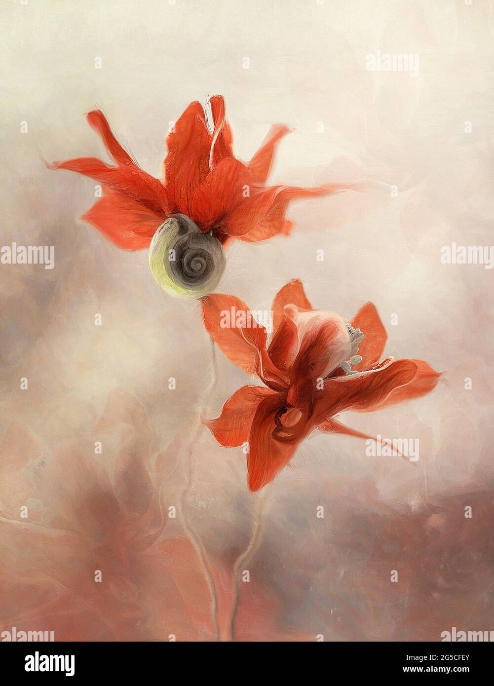Eustoma flowers hi-res stock photography and images - Alamy