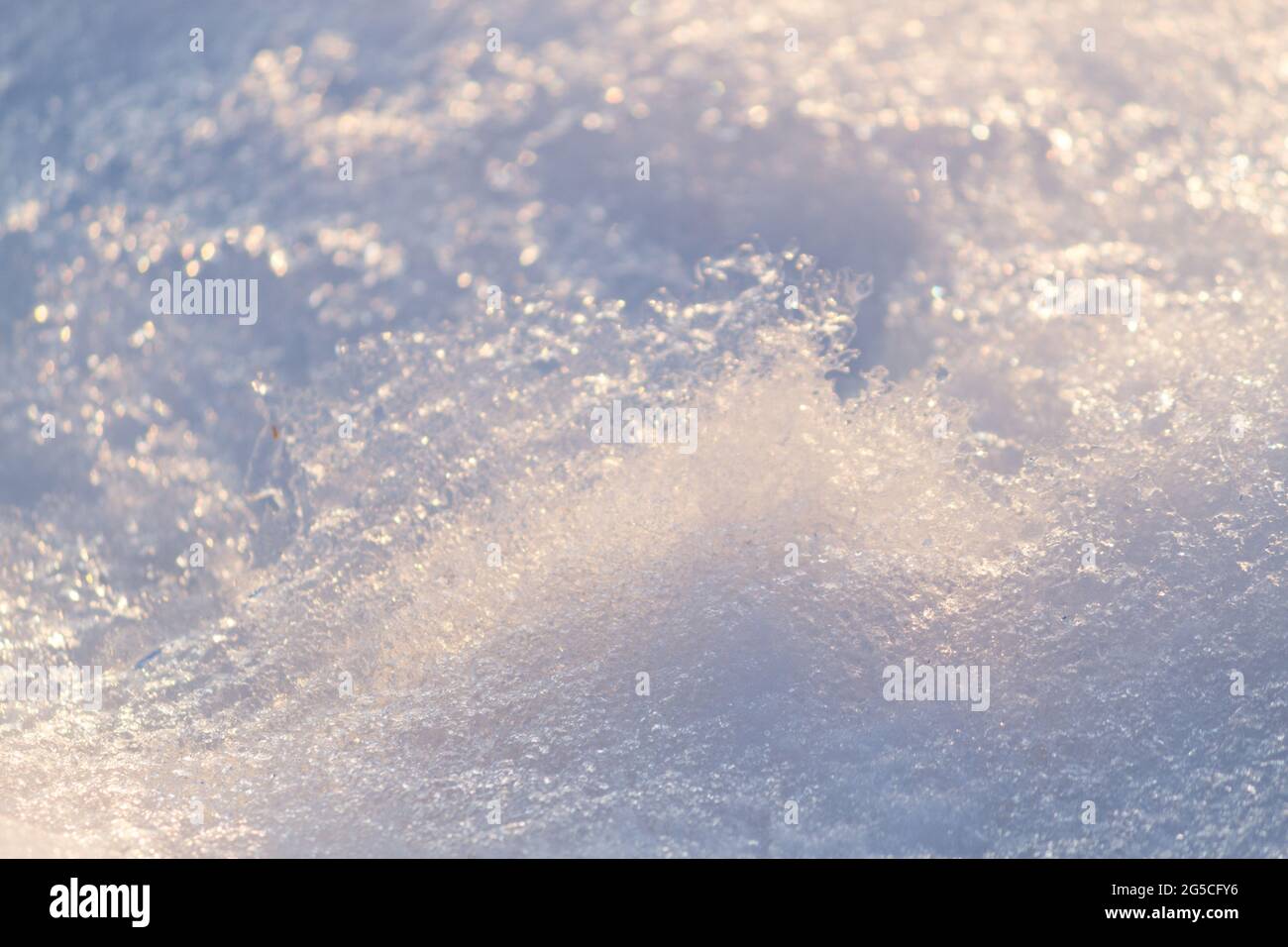Snow melting in sunlight. Close up Stock Photo - Alamy