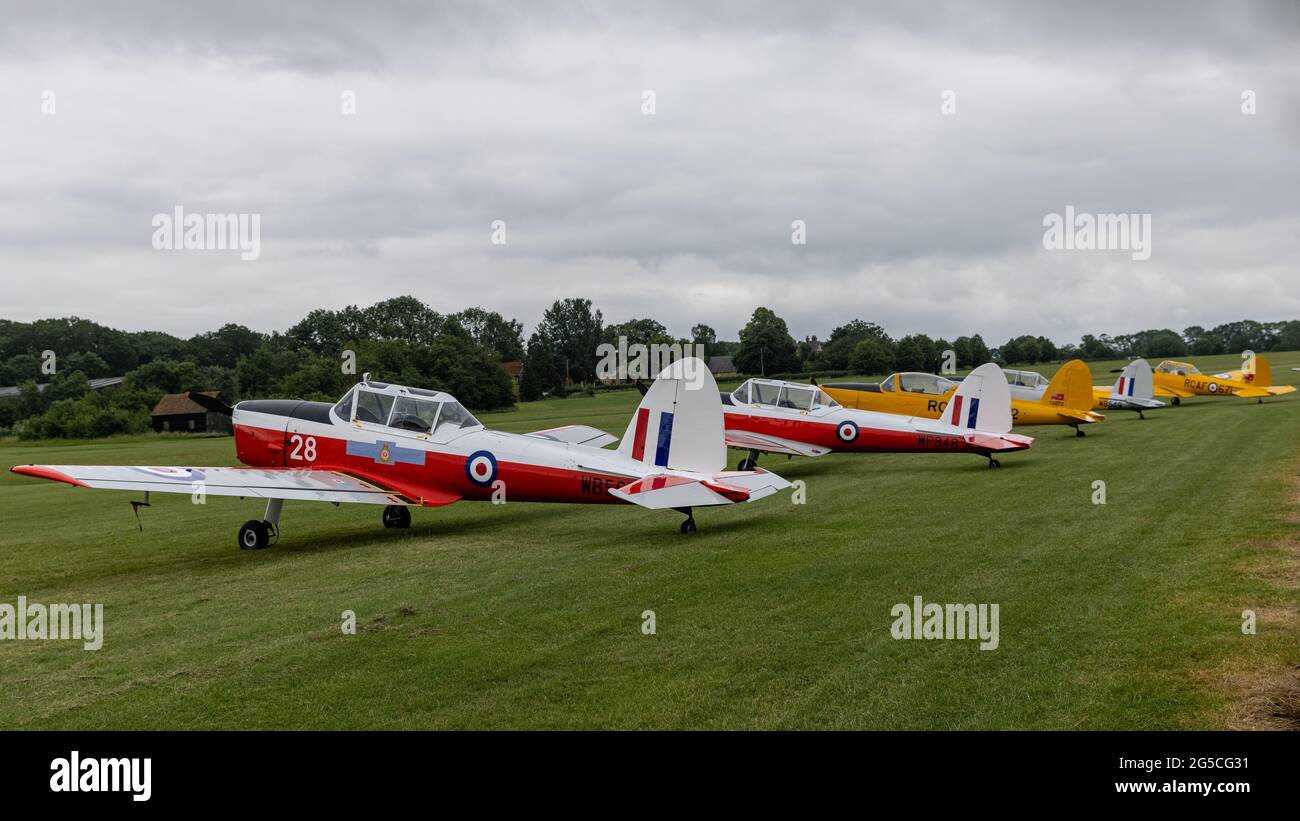 Collection of historic Chipmunk aircraft at the 75th Anniversary Scurry ...