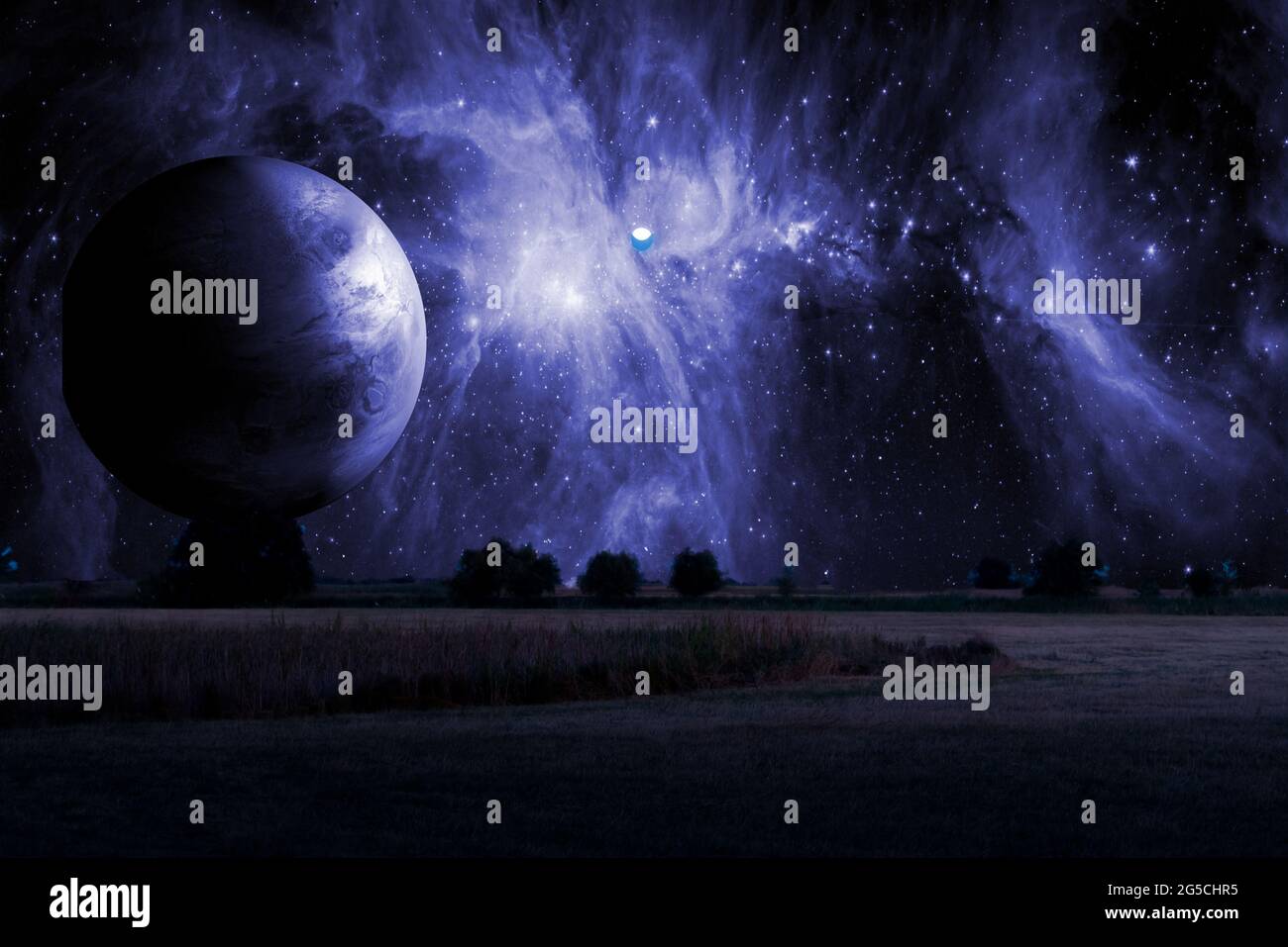 the stars in the sky above the wild nature field landscape. elements of ...