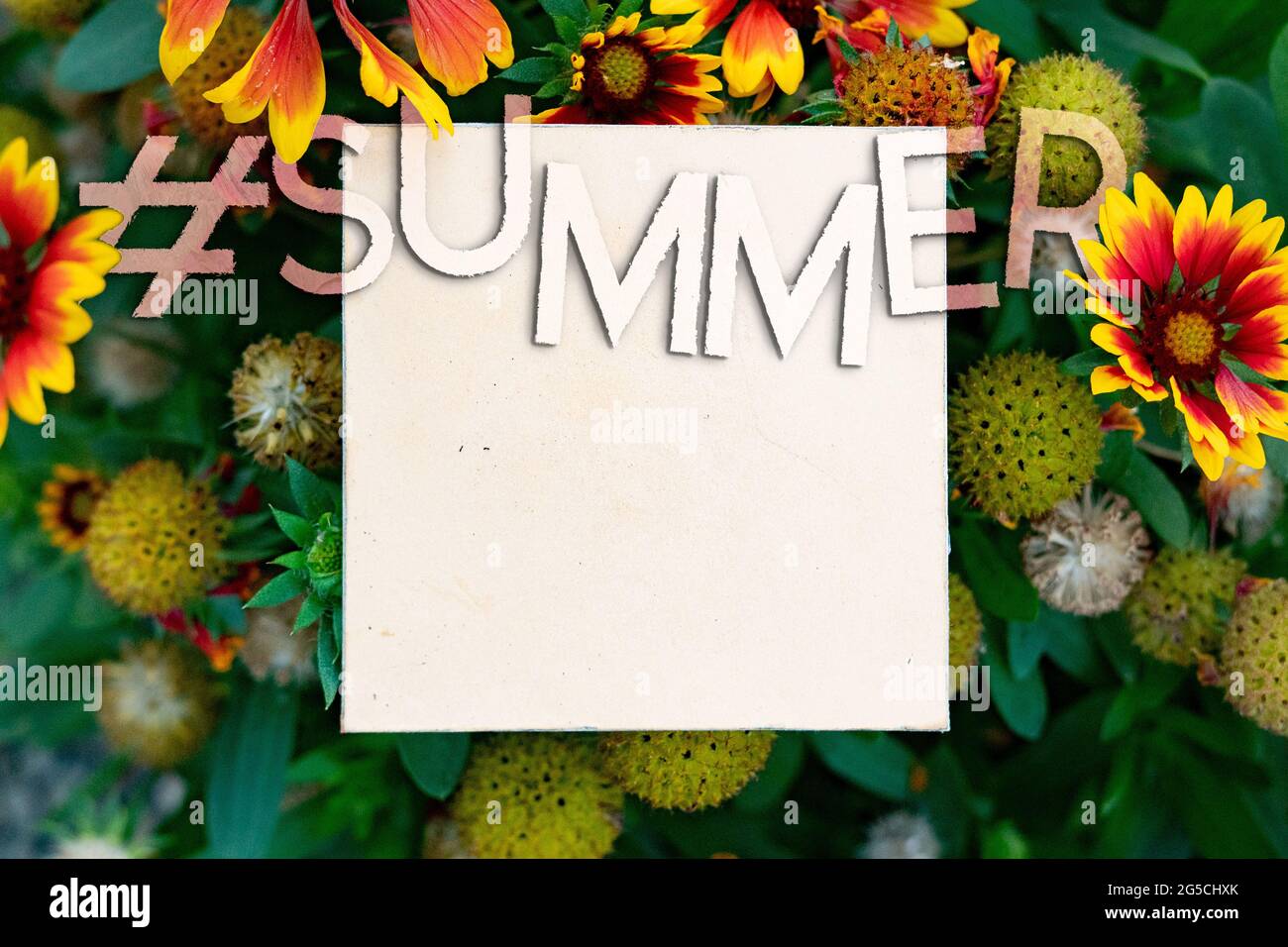 hashtag summer word text on the leafs and flowers background with white ...