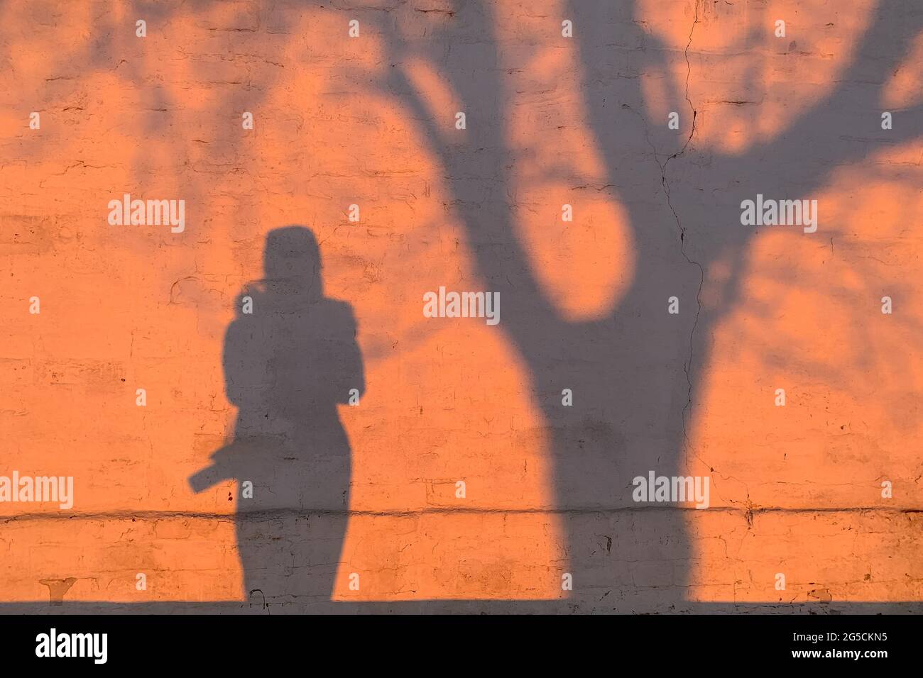 Shadow of a woman under a tree Stock Photo - Alamy