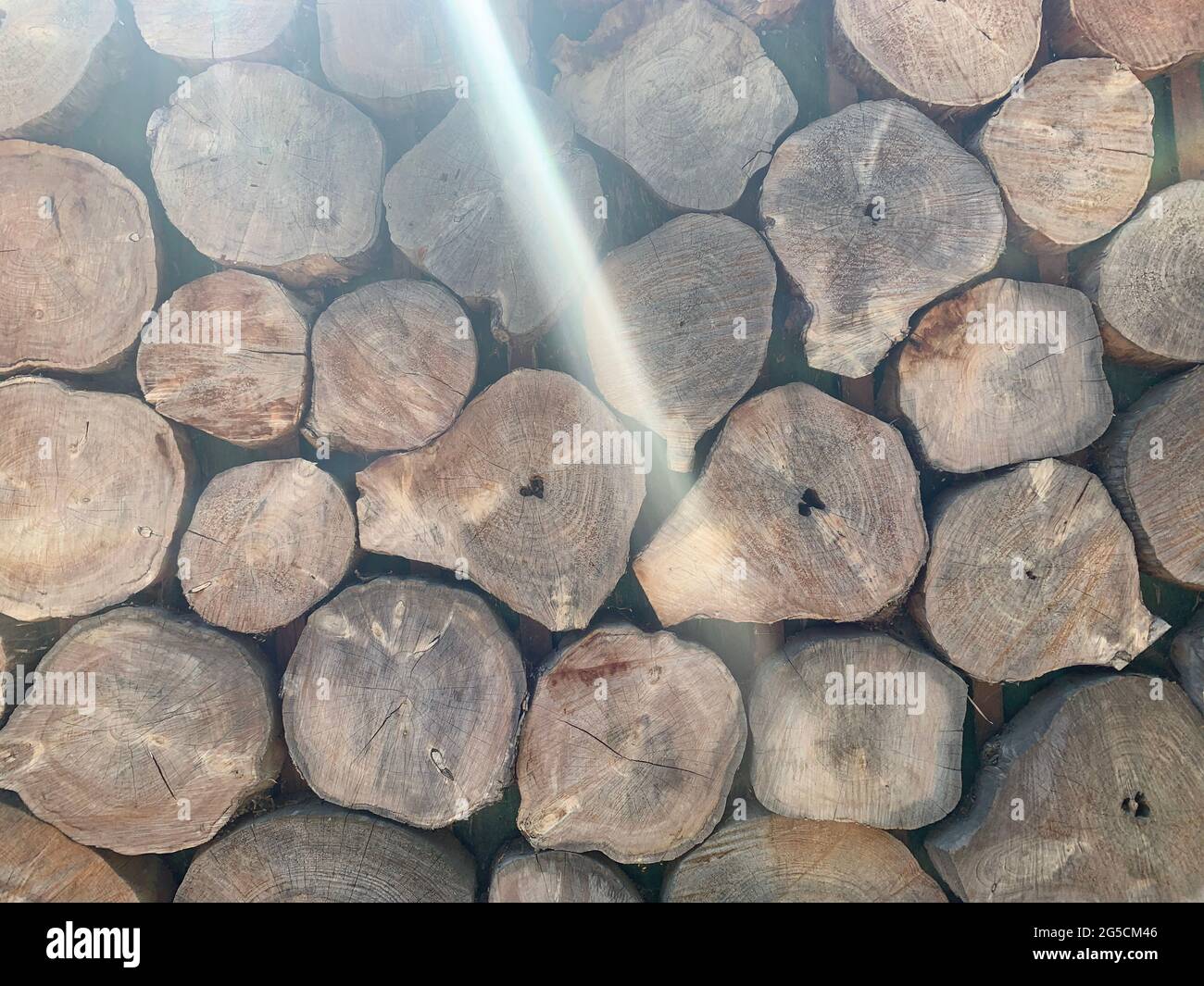 Wood logs in a big pile. background Stock Photo - Alamy