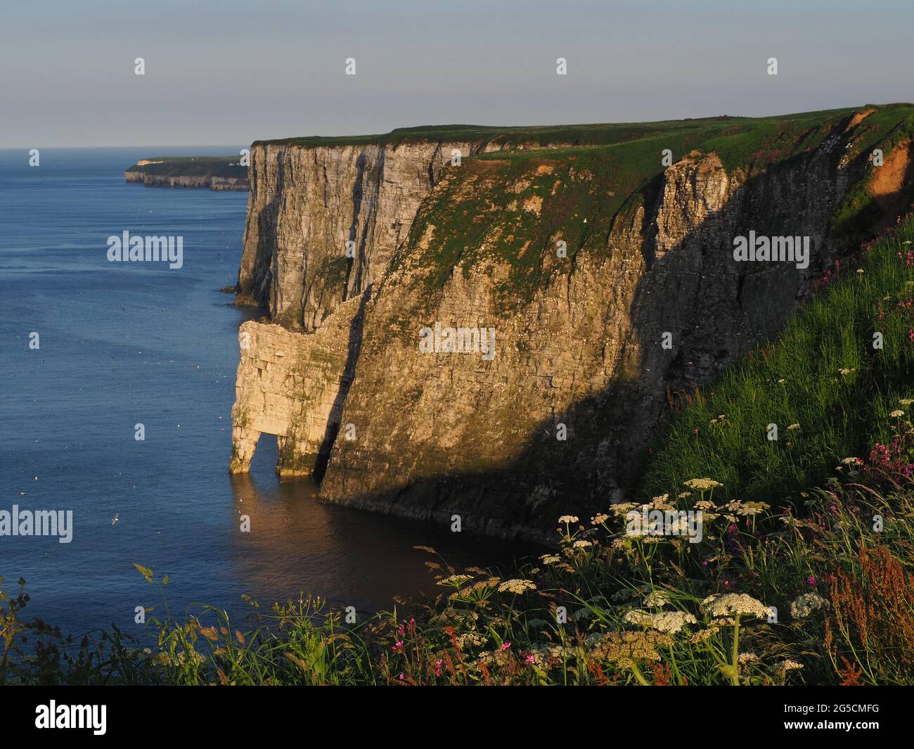 " BEMPTON CLIFFS " , " UK " , " SEASCAPE Stock Photo - Alamy