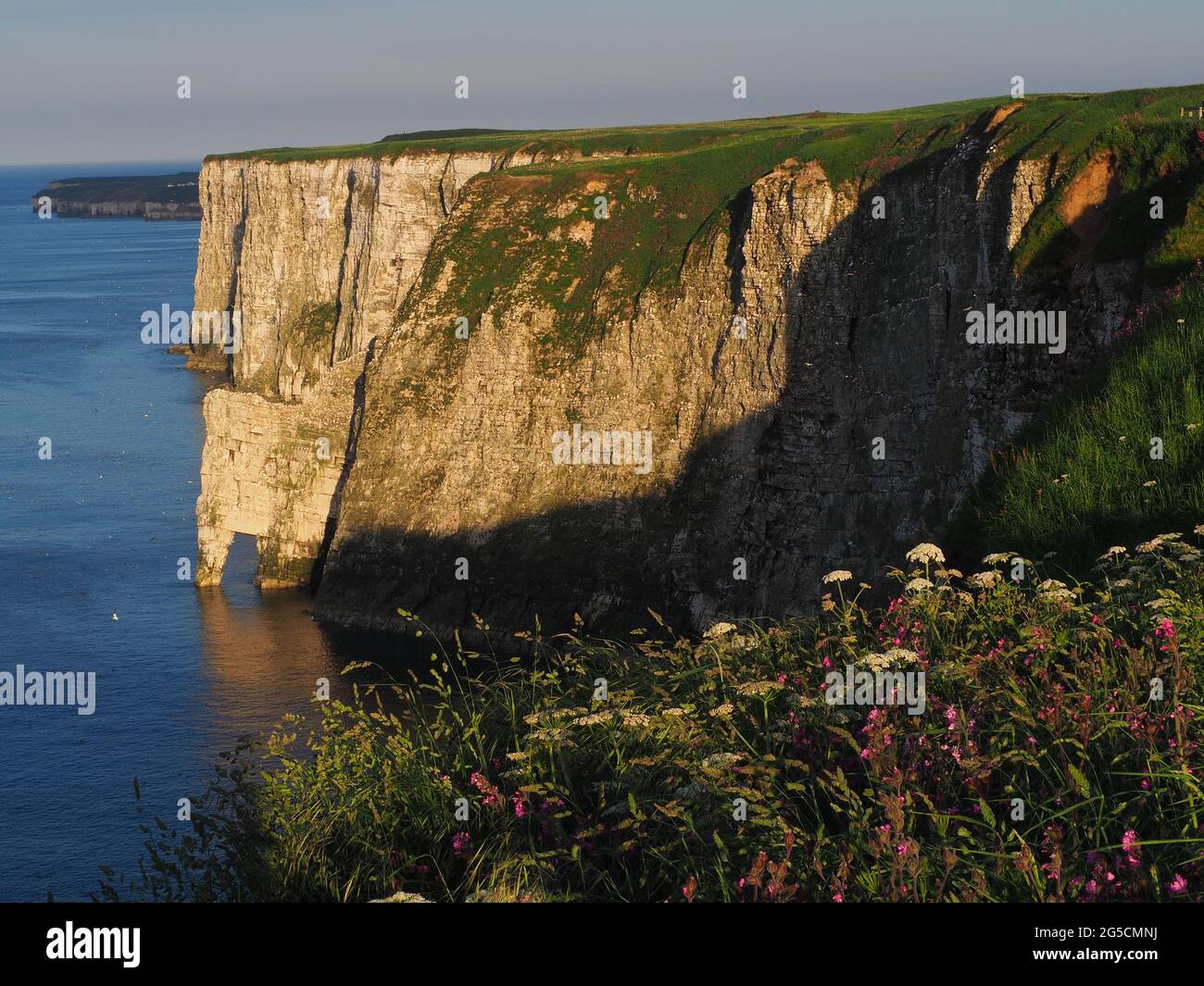 Uk cliffs birds hi-res stock photography and images - Alamy