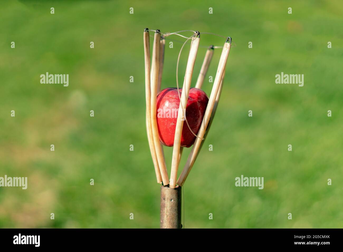 Apple picking tool hi-res stock photography and images - Alamy