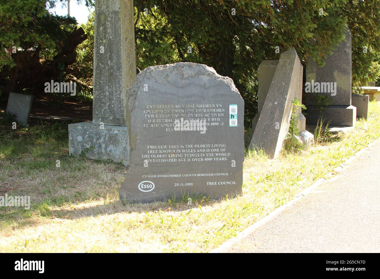 The churchyard of St Digain's parish church in Llangernyw is the site ...