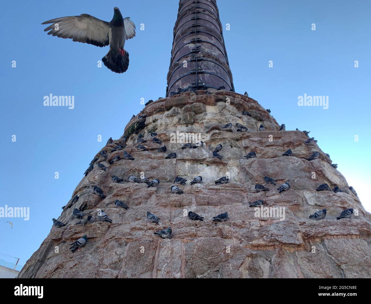 Column of Constantine in Istanbul Turkey Stock Photo - Alamy