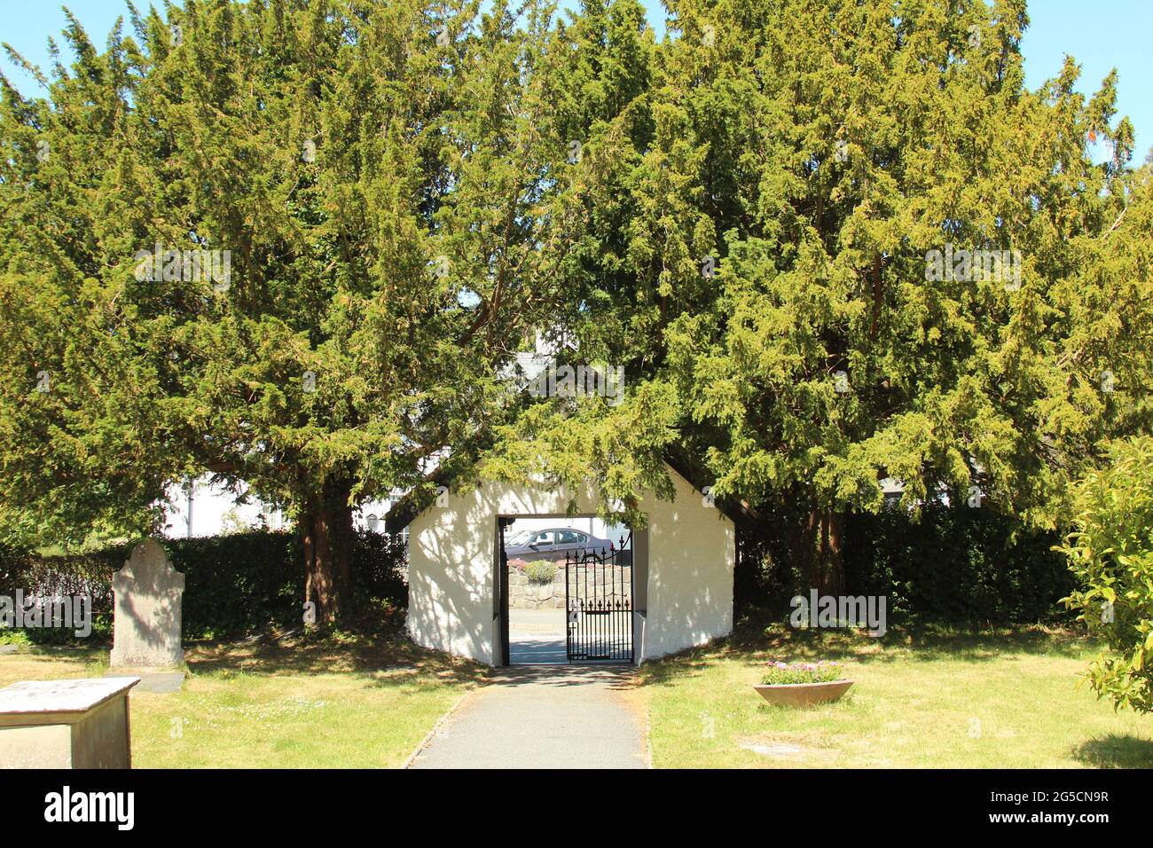 The churchyard of St Digain's parish church in Llangernyw is the site ...