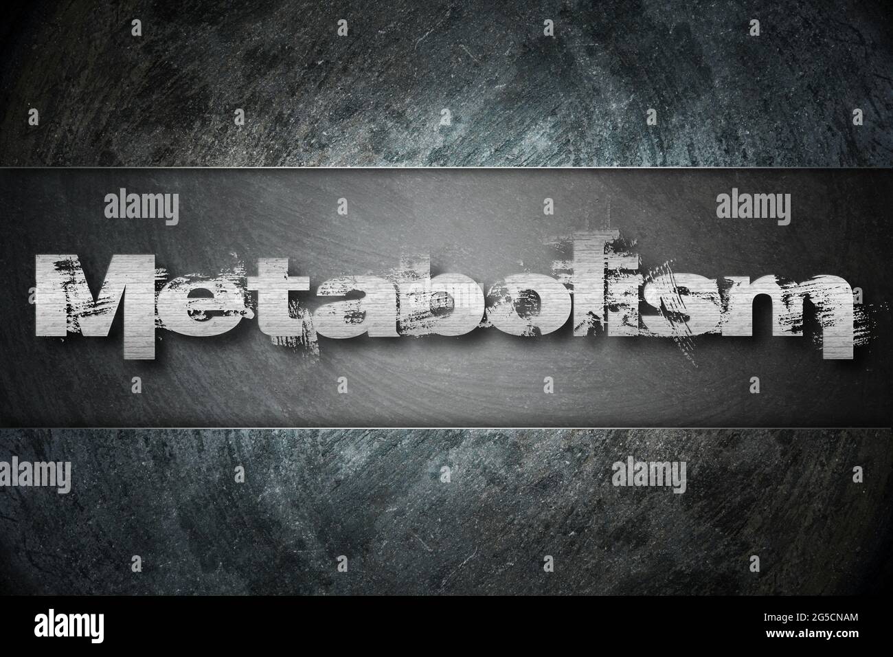 Metabolism text on background Stock Photo - Alamy