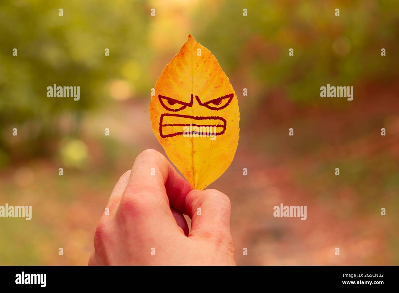 the hand holding an autumn leaf with a scary face on it, angry smile ...