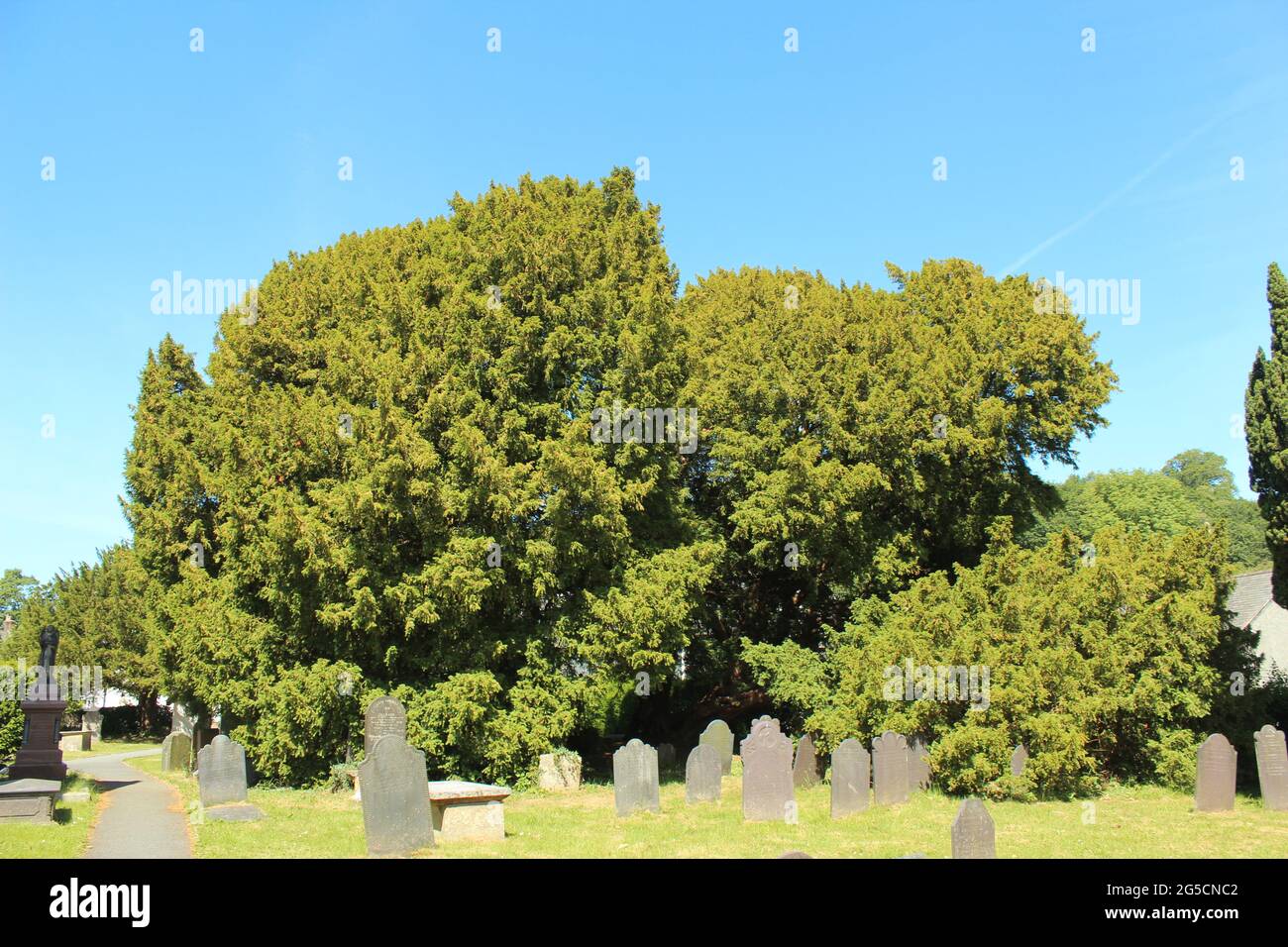 The churchyard of St Digain's parish church in Llangernyw is the site ...