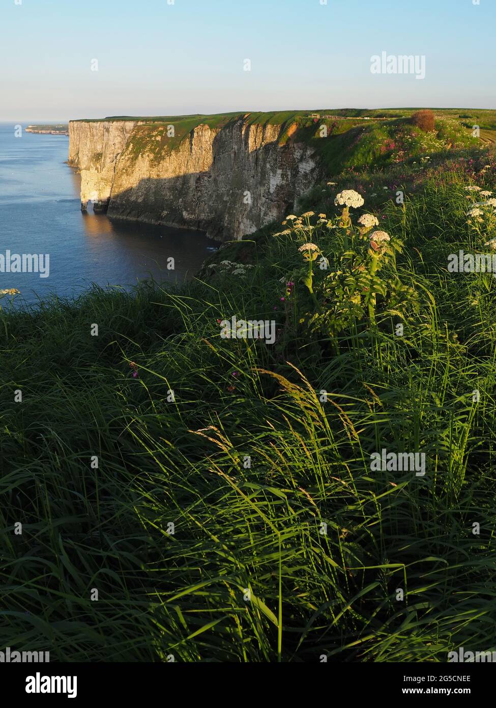" SEASCAPE " , " BEMPTON CLIFFS Stock Photo - Alamy